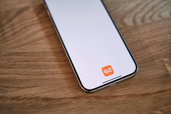 SecuringIndustry.com - Kentucky is latest state to sue Temu over fake sales