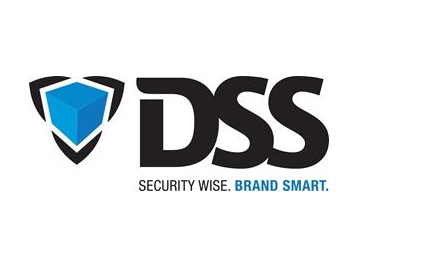 SecuringIndustry.com - Document Security Systems raises $3.4m in public ...