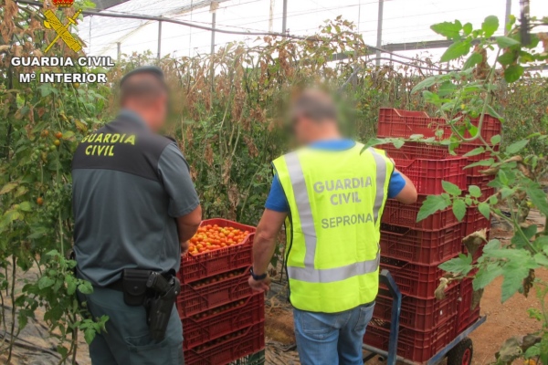 SecuringIndustry.com - Illicit alcohol tops latest Operation Opson haul