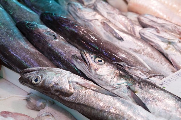 SecuringIndustry.com - Mislabelling of fish common in Italy, says DNA study